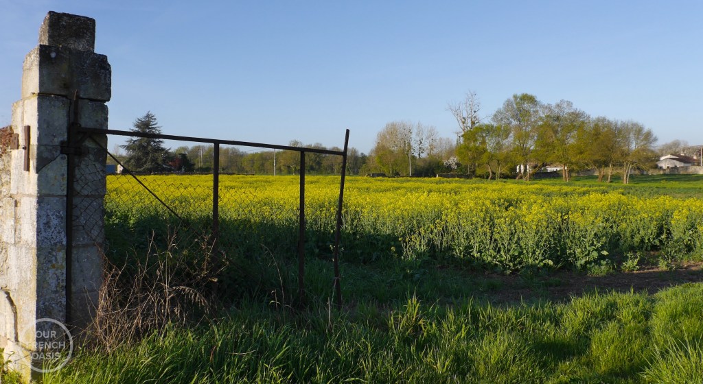 A Little Bit of Everything – Our French Oasis