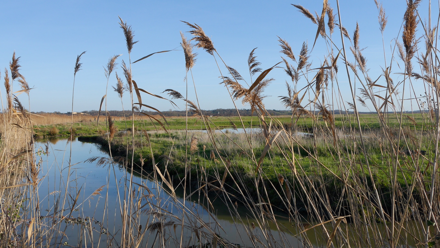 Real Life in France – Our French Oasis
