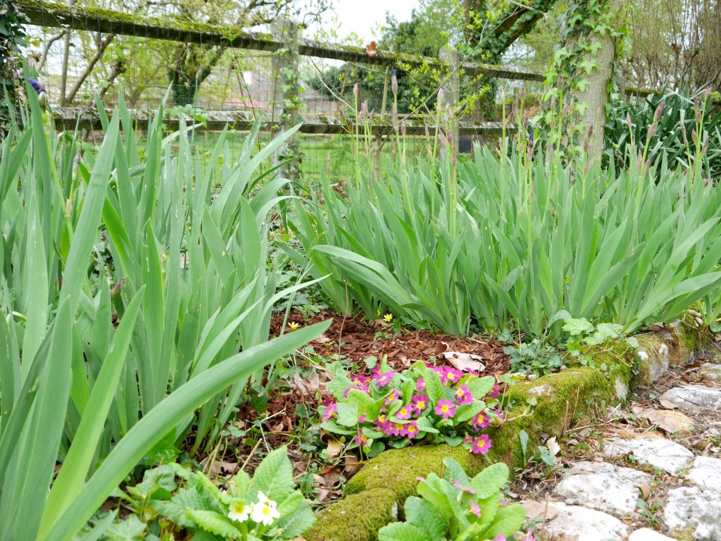 Getting to Grips with The Spring Garden – Our French Oasis