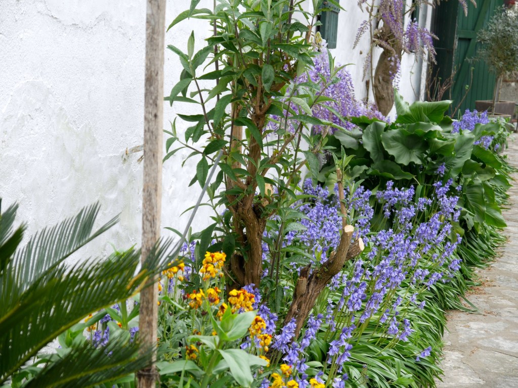 Getting to Grips with The Spring Garden – Our French Oasis