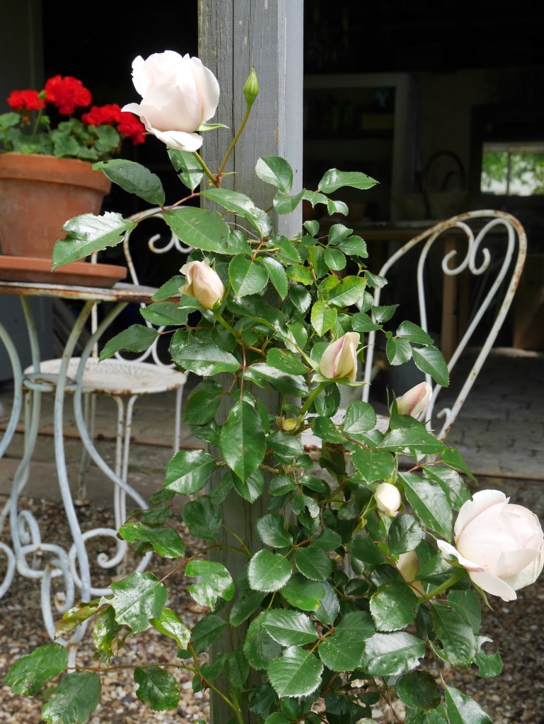 Our Spring Garden – Our French Oasis