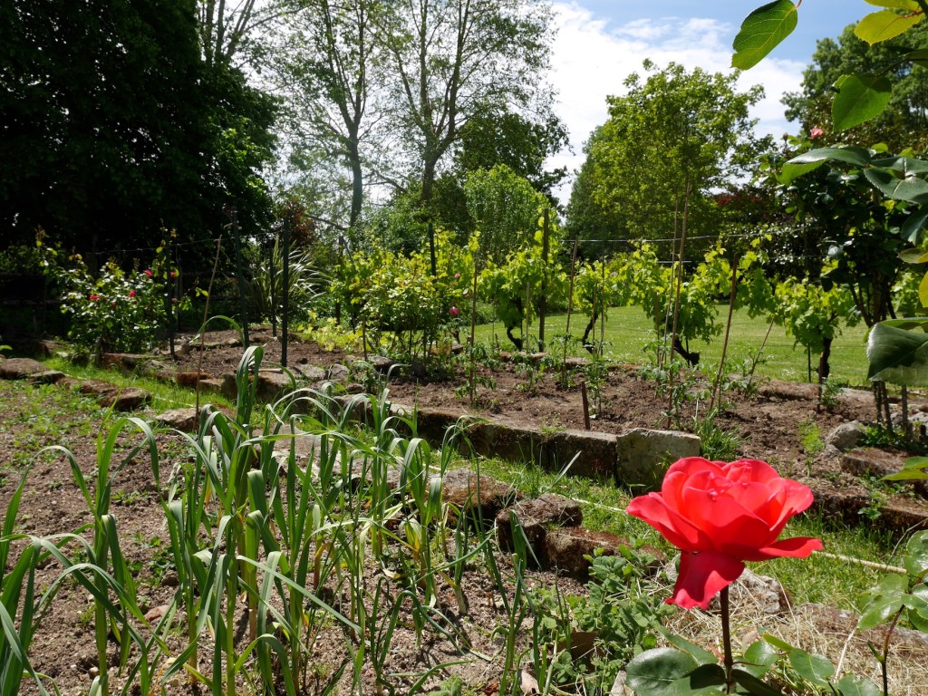 Our Spring Garden – Our French Oasis